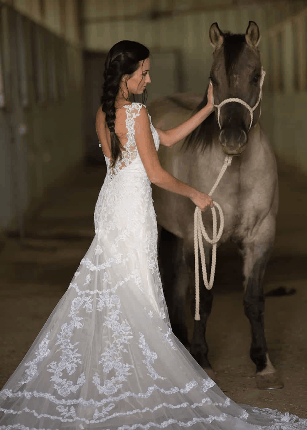 Atevi Gelin Atı - Gelin Arabası Kiralama Fiyatları - DüğünYardımcısı